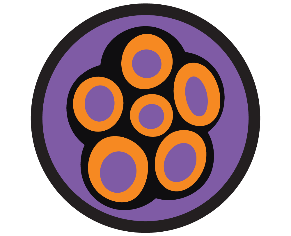 Thunder Bay ID Action Group - Helping People in Northwest Ontario Obtain ID